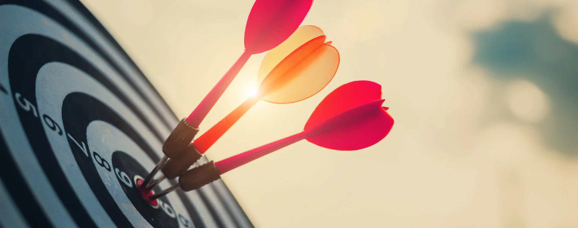 Focus Sectors - Intuit Research